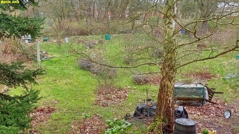 12. Kalenderwoche 2024 | FinchesjarRietz