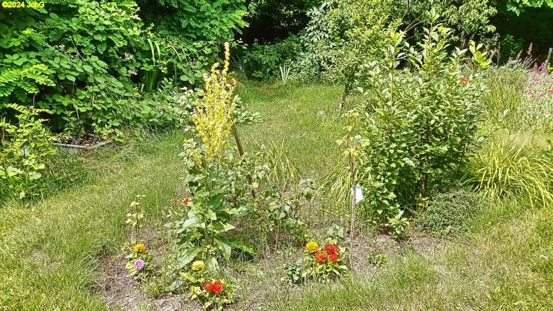 26. Kalenderwoche 2024 | FinchesjarRietz