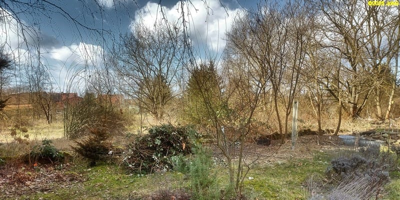 9. Kalenderwoche 2025 | FinchesjarRietz